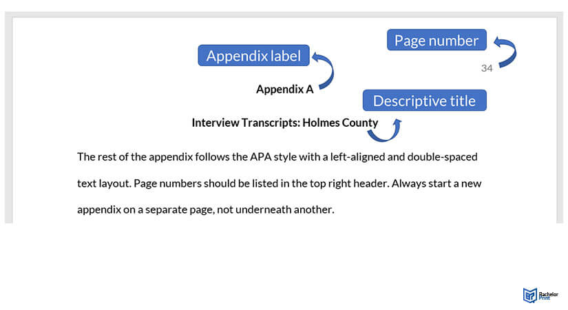 APA Appendix Construction Rules Examples