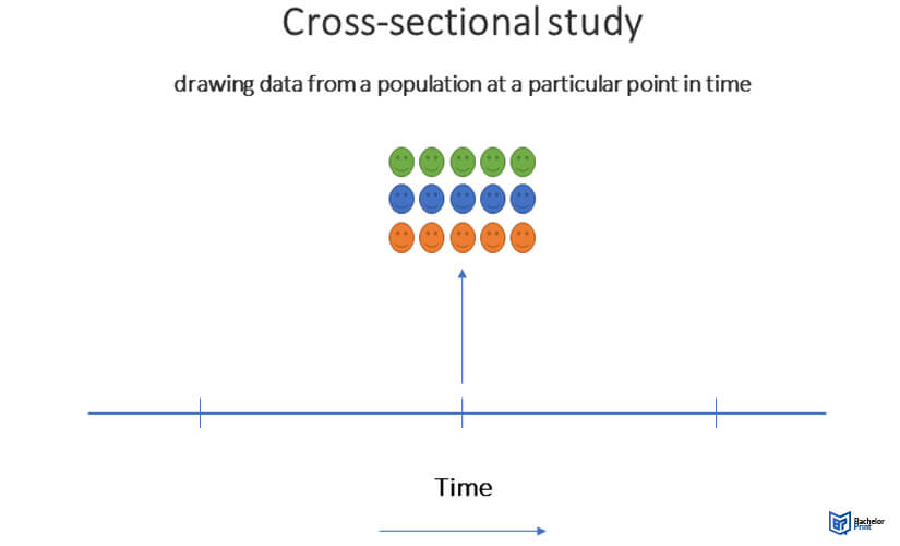 Cross Sectional Images Meaning Infoupdate Cross Sectional Images Meaning Infoupdate